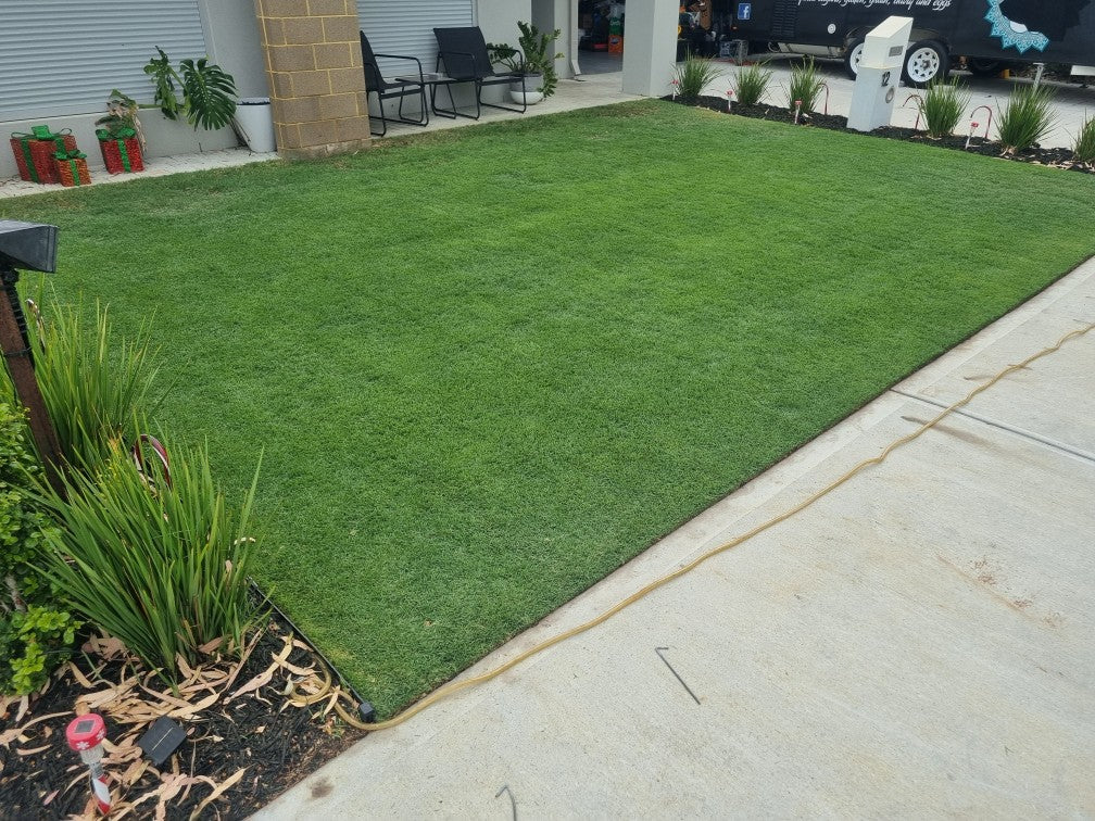 How to Fix My Patchy Lawn: A Step-by-Step Guide to Reviving Your Grass ...